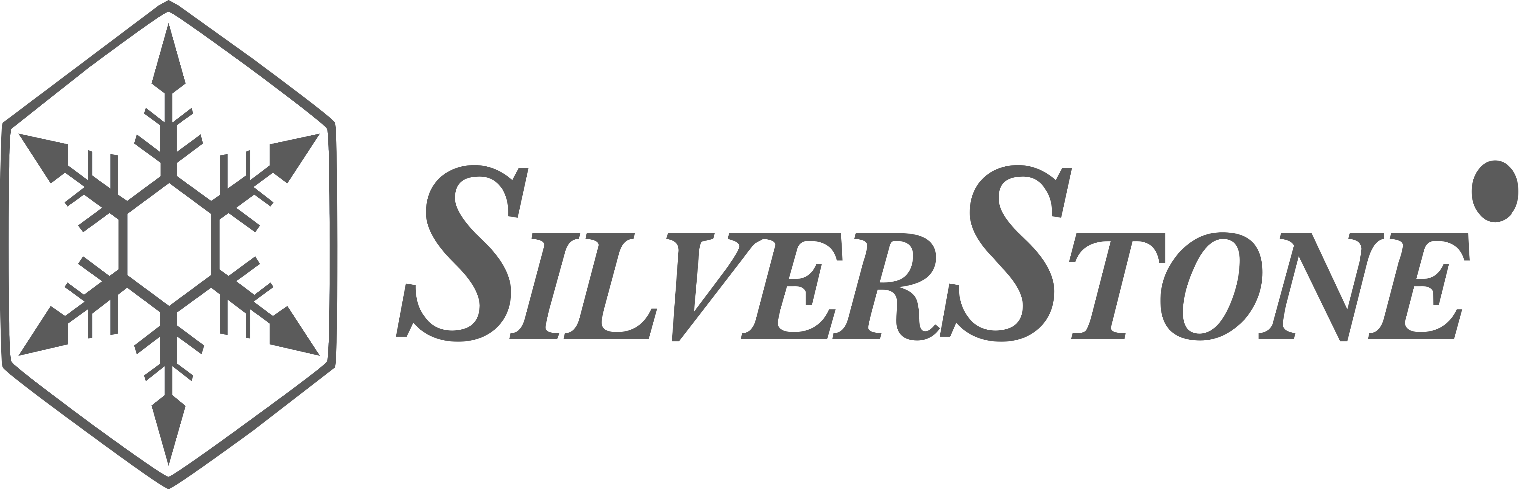 SILVERSTONE KJØLERIBBE FOR M.2 SSD - Power.no